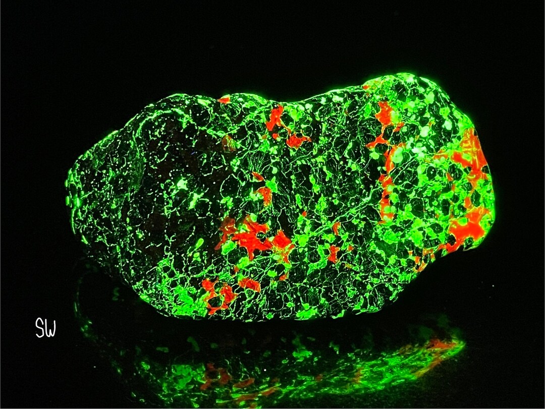 Willemite Franklinite Calcite Zincite UV Fluorescent Mineral Sample ...