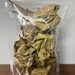 Ewe Akoko ( Yoruba Fertility Leaves), Aduruku Ogirisi-igbo), Newbouldia ...