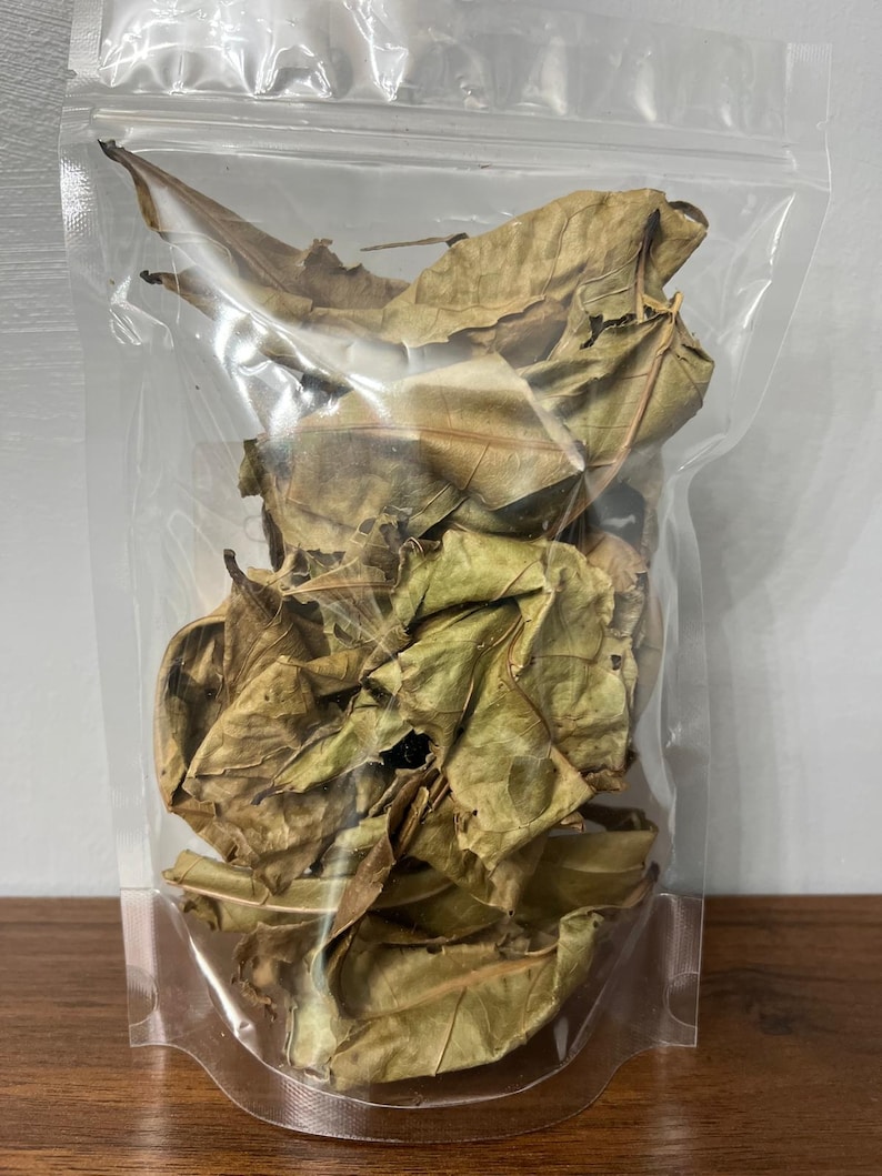 Ewe Akoko ( Yoruba Fertility Leaves), Aduruku Ogirisi-igbo), Newbouldia ...