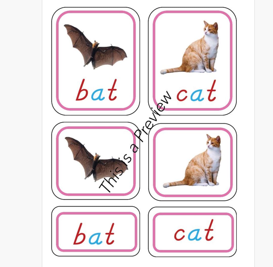 Montessori 3 Part Cards - Etsy
