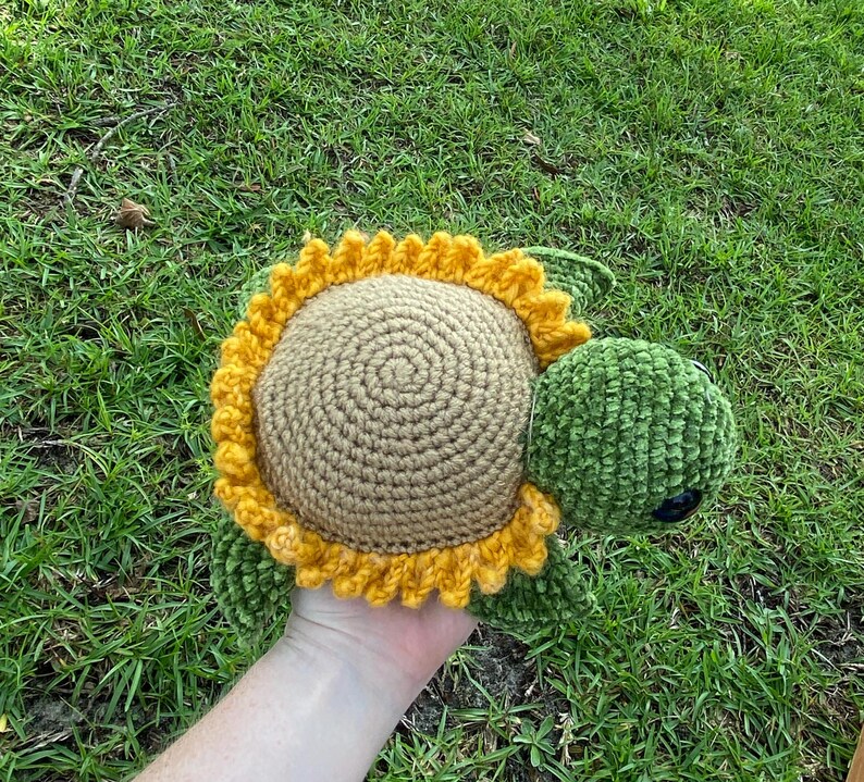 Sunflower Sea Turtle - Etsy