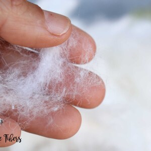 Short Staple Flax, Flax Noil, Tow Flax Spinning, Blending, Felting - 2 ...