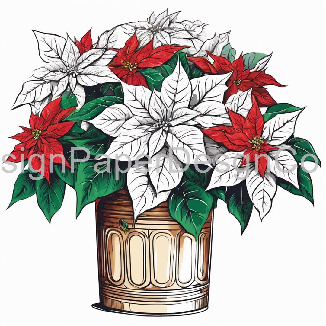Christmas Poinsettia Plants Clipart, Christmas Card Art, Printable ...