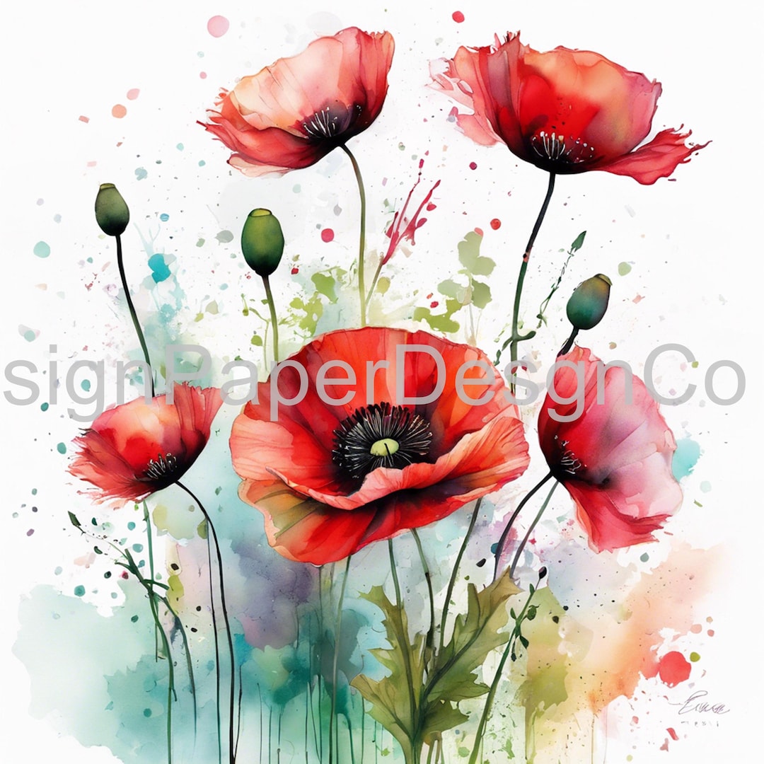 Watercolor Red Poppy Flower Clip Art for Crafting Scrapbooking Card ...