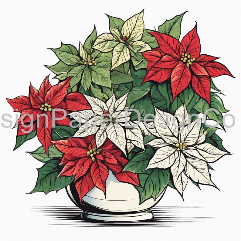 Christmas Poinsettia Plants Clipart, Christmas Card Art, Printable ...