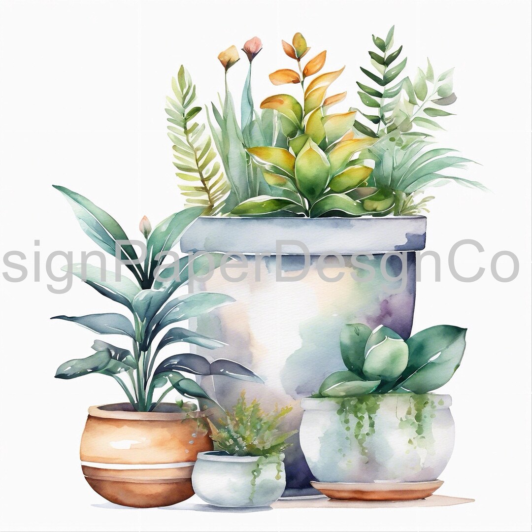 Watercolor Potted Cactus Plants Clip Art for Crafting Scrapbooking Card ...