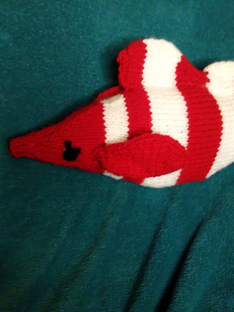 Meet Nemo the Clown Fish Knitting Pattern - Etsy