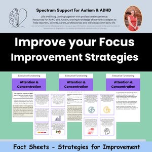 Executive Function Support for ADHD Autism Spectrum Adult Coping Tools ...