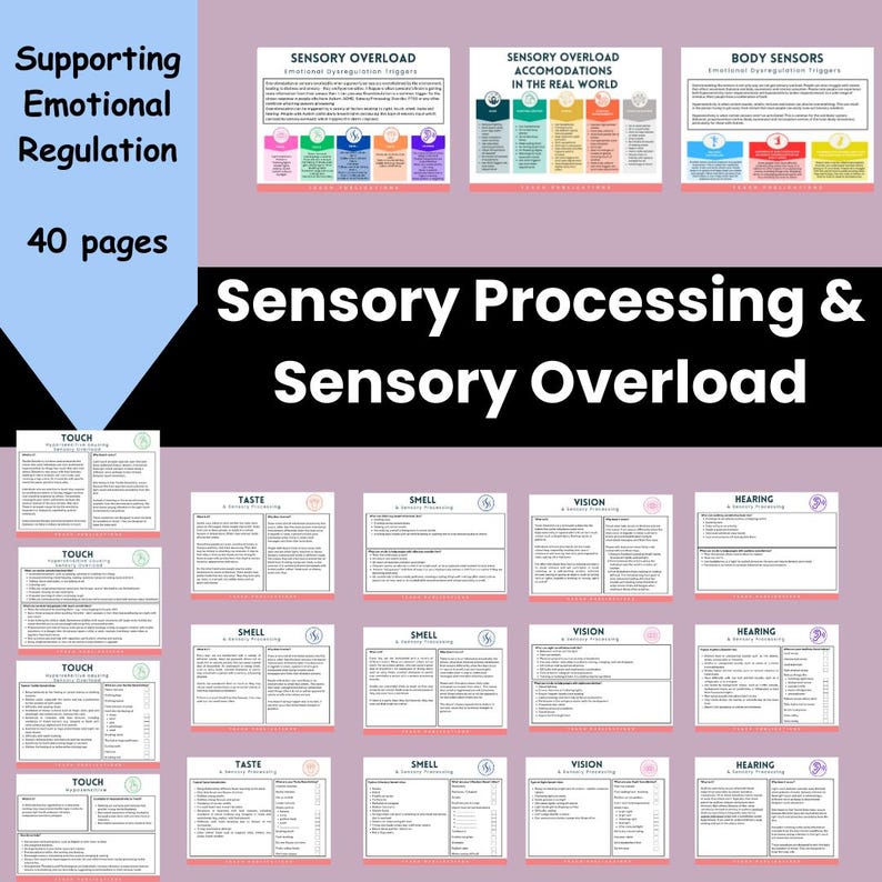 Sensory Processing Sensory Overload in Detail Adjustments for Sensory ...