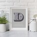 Illustrated Letter D Letter D Alphabet Art Print Alphabet - Etsy