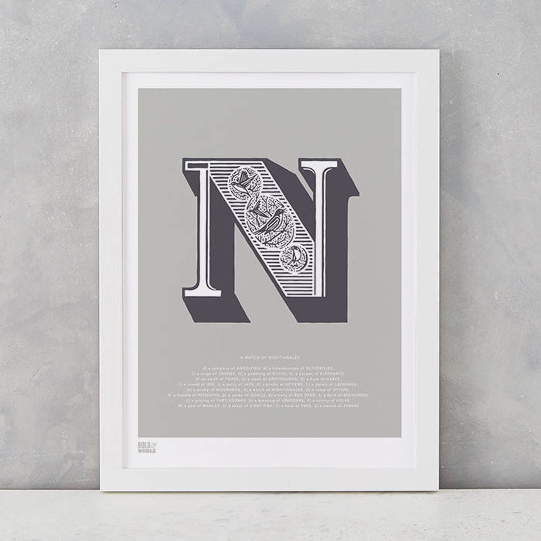 Illustrated Letter N Alphabet Art Print Illustrated Letters - Etsy