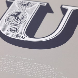 Illustrated Letter U, Illustrated Letters, Illustrated Alphabet Wall ...