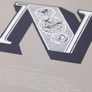 Illustrated Letter N Alphabet Art Print Illustrated Letters - Etsy