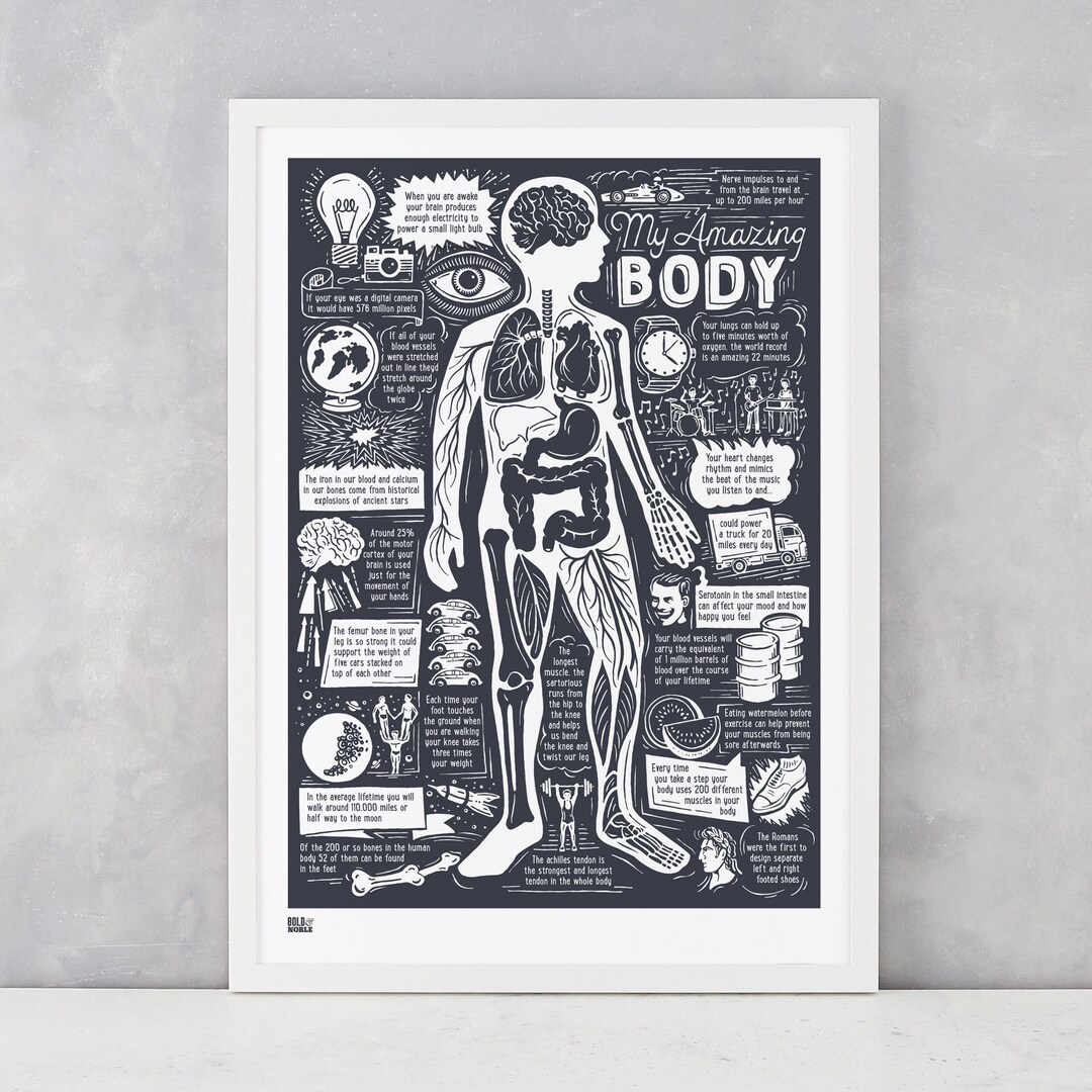 My Amazing Body Art Print Human Body Facts Print People Wall - Etsy