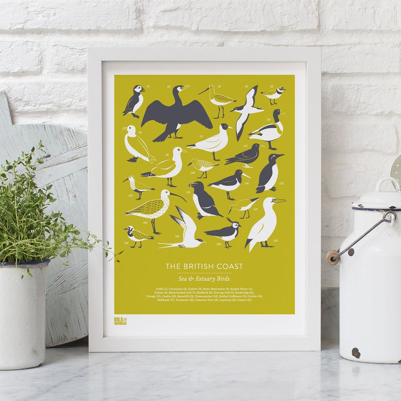 Bird Print British Coast Birds Screen Print Birds Art Print | Etsy