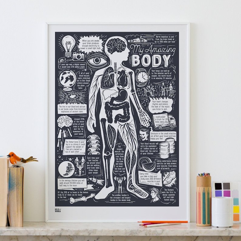 My Amazing Body Art Print Human Body Facts Print People Wall - Etsy