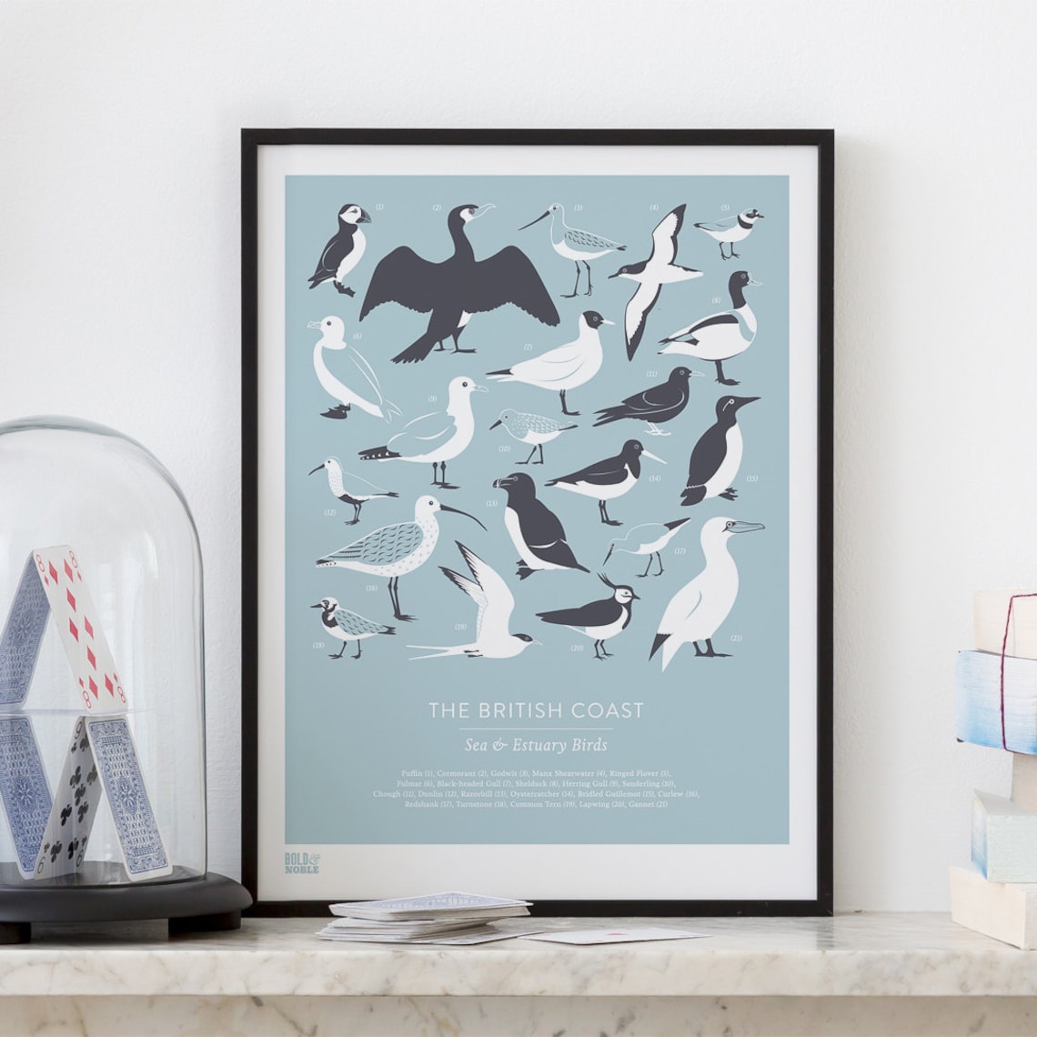 Bird Print British Coast Birds Screen Print Birds Art Print - Etsy