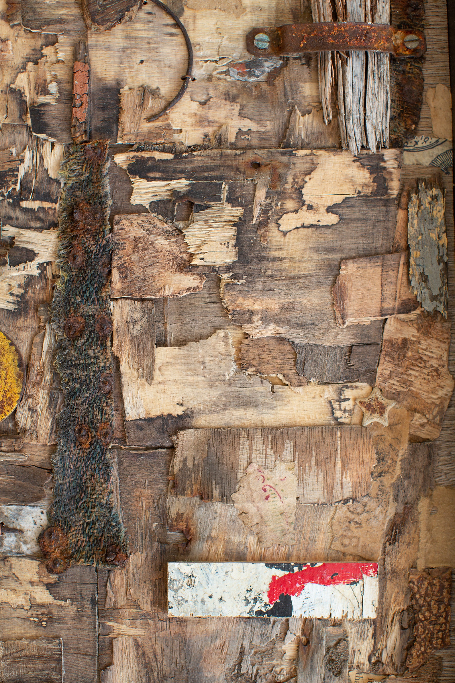 Animosity. Found Object Assemblage. Collection of Objects and Ephemera ...