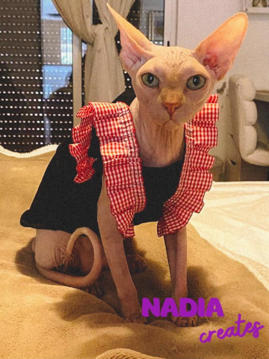 Sphynx Cat Dress Ruffle Outfit for Sphynx Cat Kitten Loungewear Cute ...