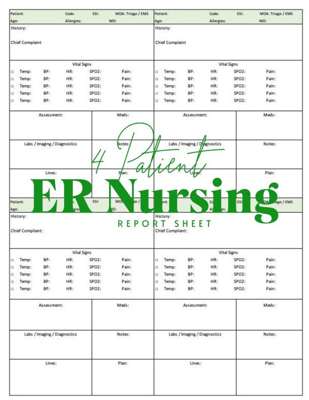 4 Patient Emergency Room Nursing Report Sheet - Etsy