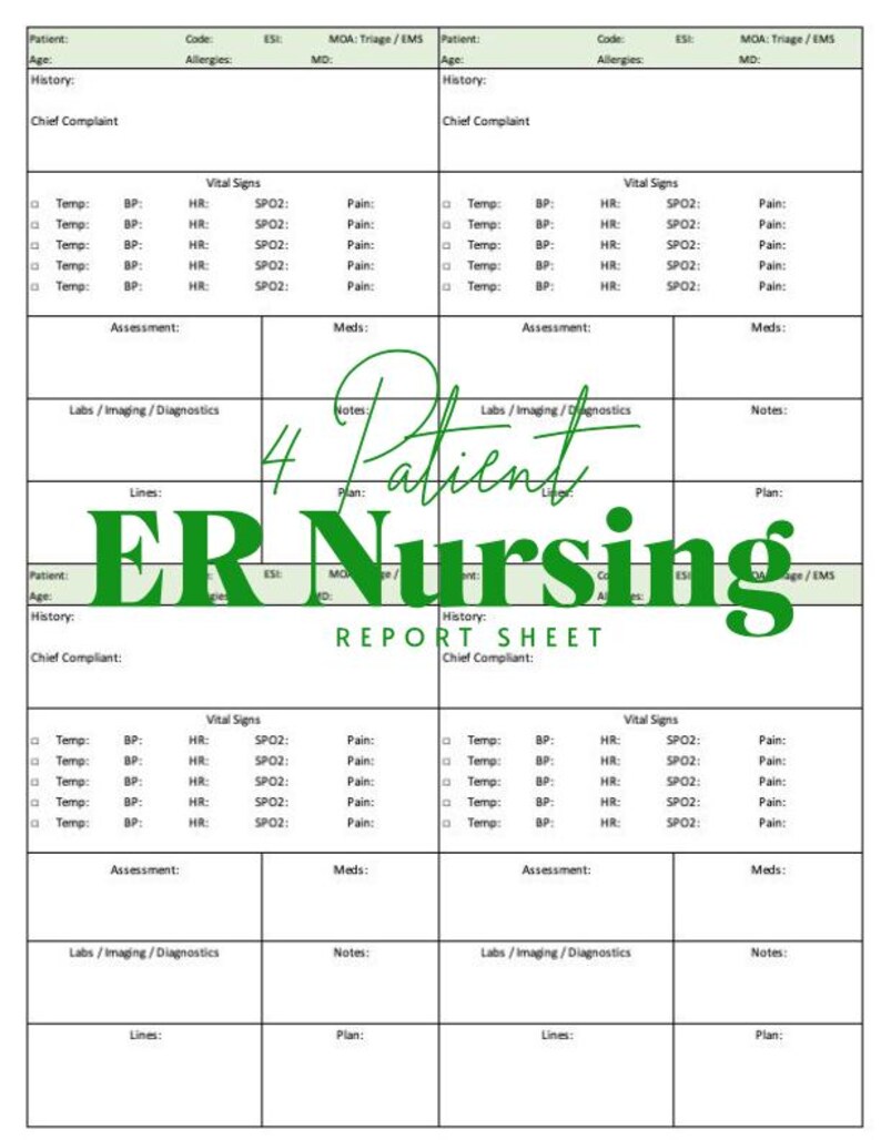 4 Patient Emergency Room Nursing Report Sheet - Etsy