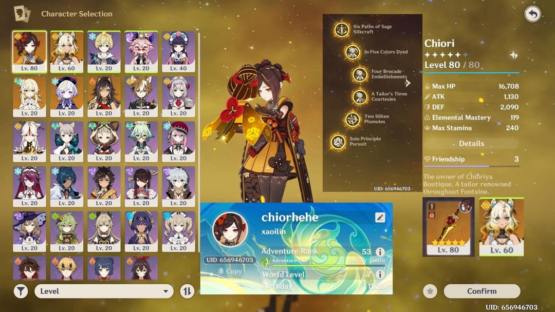 C6 Chiori and Sig, Xilonen NA Server Ar 53 Farmed - Etsy