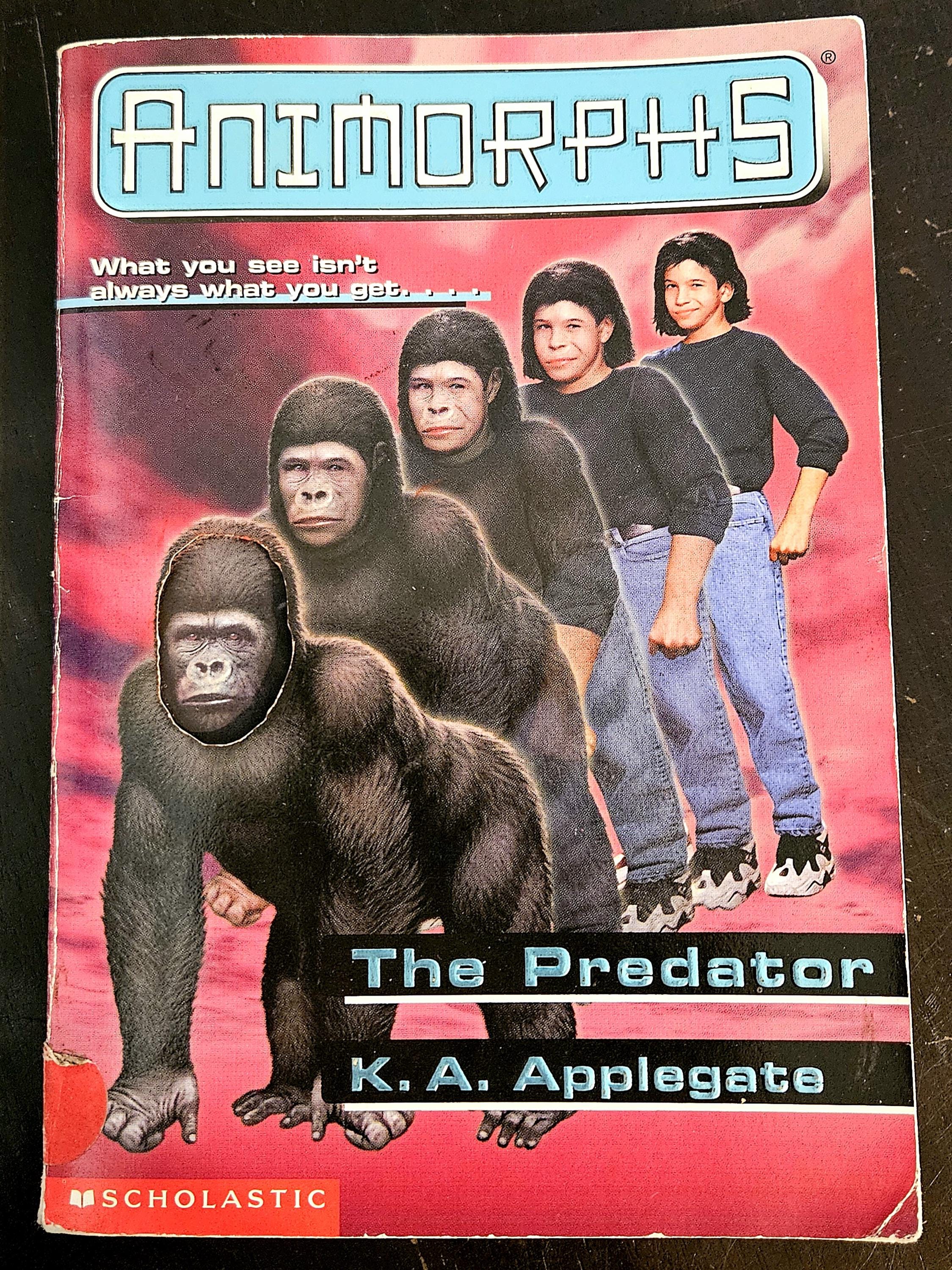 1996 Animorphs First Printing Book - Etsy