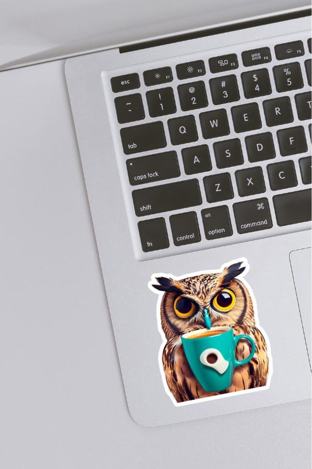 Dora Sticker, Black Cat, Cute Animal - Etsy