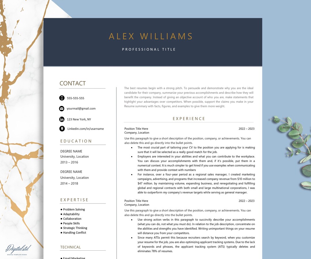 Best Professional Resume Template for Microsoft Word & Apple Pages | 1 ...