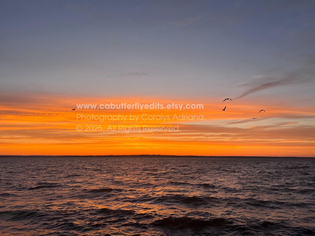 Digital Download Colt State Park, Bristol, Rhode Island, United States ...
