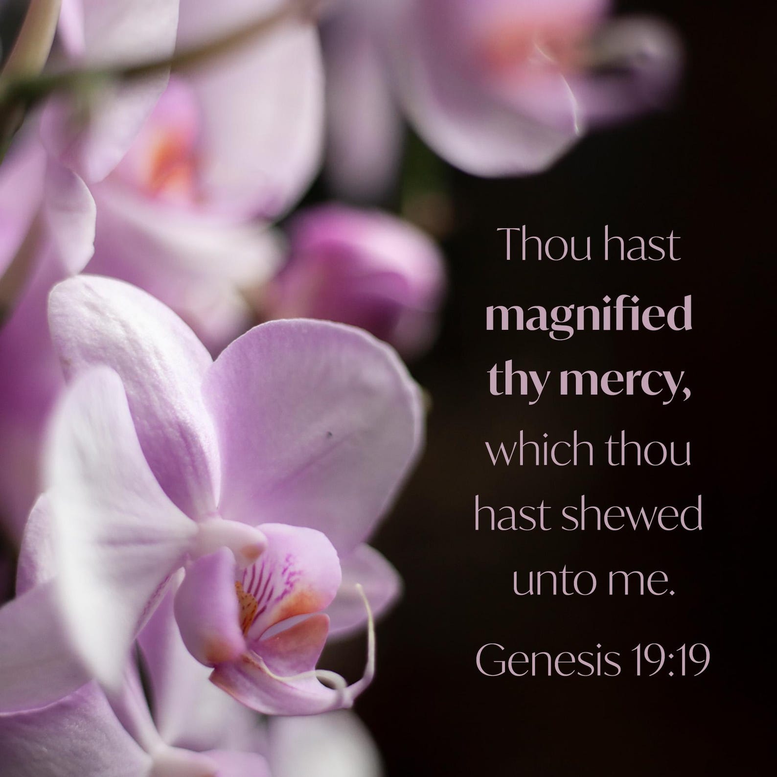 Mercy Bible Verse, Genesis 19:19, Digital File for Printing - Etsy