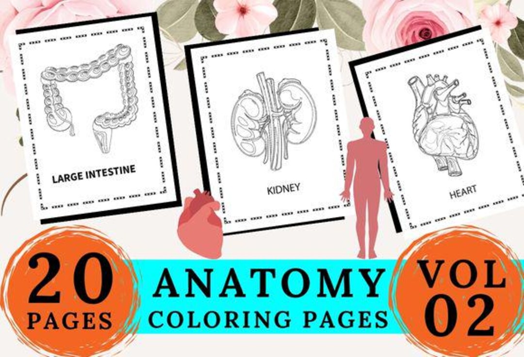 Homeschool Science Printables Human Body Unit Anatomy Worksheets for ...