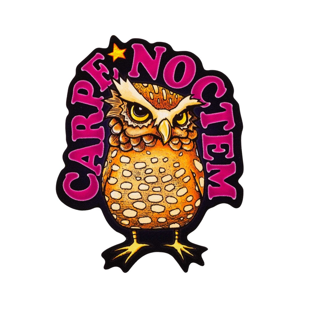 Carpe Noctem Sticker, Die-cut Waterproof Vinyl, 2.75 X 3.5 Inches ...