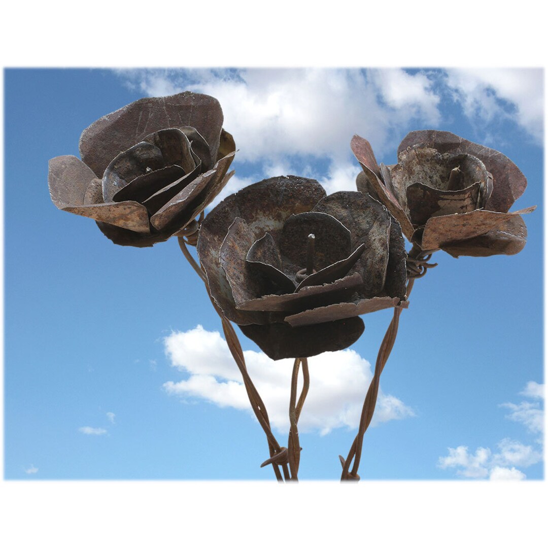 Ships in 1 Business Day Barb Wire Desert Flowers Bouquet of 3 Free ...