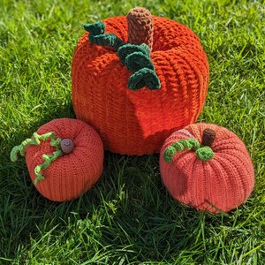 Digital Crochet Pattern Pumpkin PDF, Halloween Crochet, Pumpkin Patch ...
