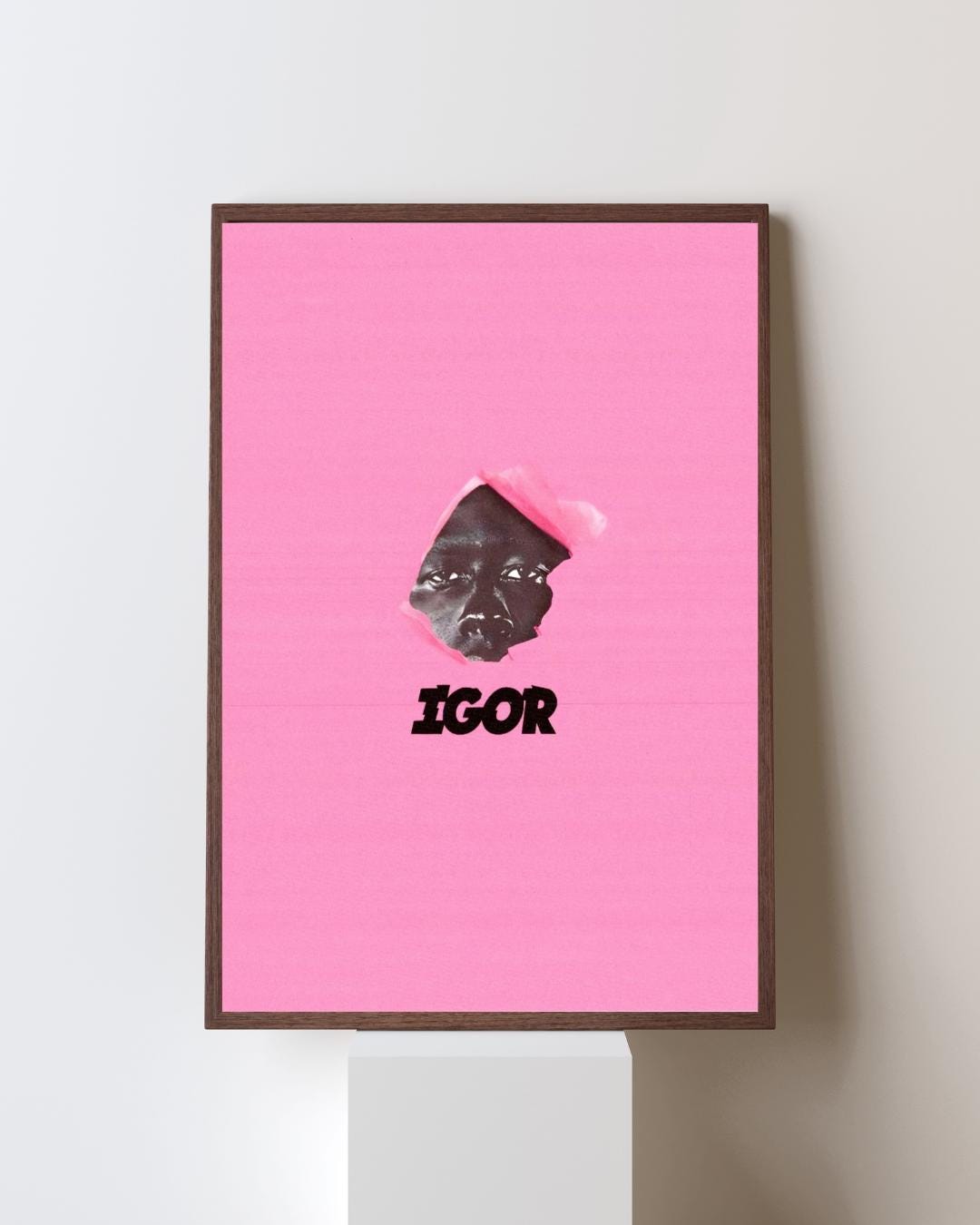 Igor Pink Tyler the Creator Album Cover Music Rap Gangsta Pop Culture ...
