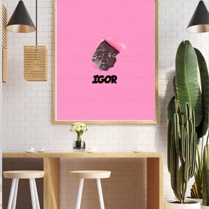 Igor Pink Tyler the Creator Album Cover Music Rap Gangsta Pop Culture ...