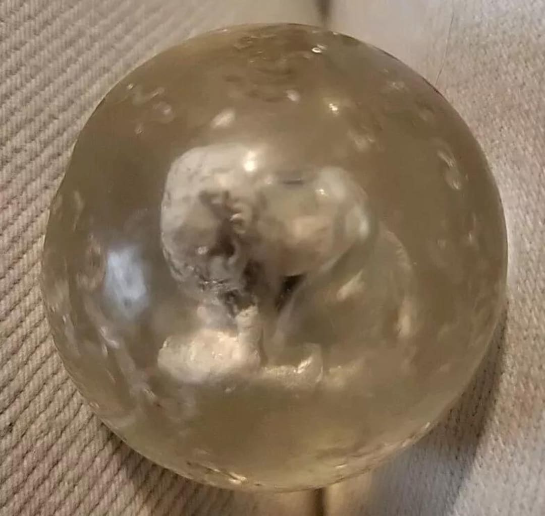 Large Vintage Sulfide Marble W/ Lion Inside From Germany Handmade - Etsy