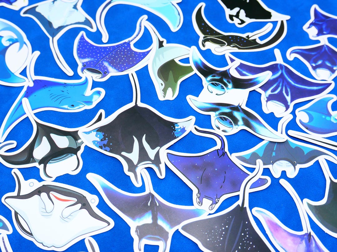 Manta Ray Stickers Pack 50 Pieces a Pack Mobula Stickers Waterproof ...