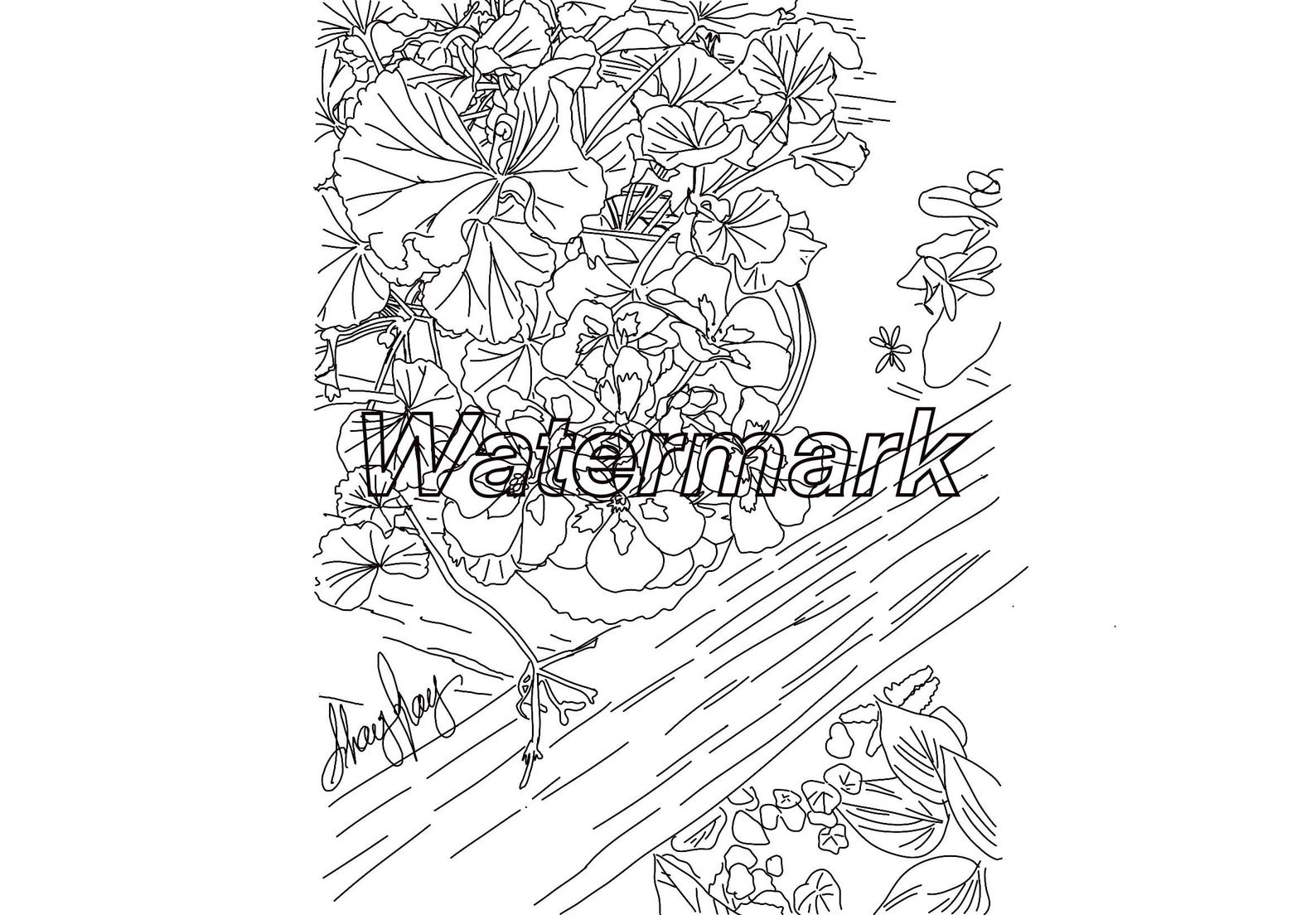 Potted Geraniums Coloring Page I Adult Coloring Page I Coloring Page I ...
