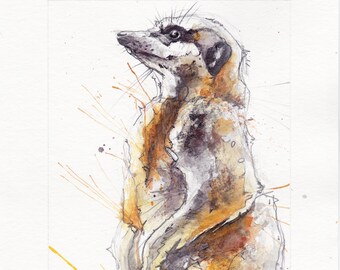 Meerkat Art an Original Watercolour and Pen Wildlife Painting - Etsy
