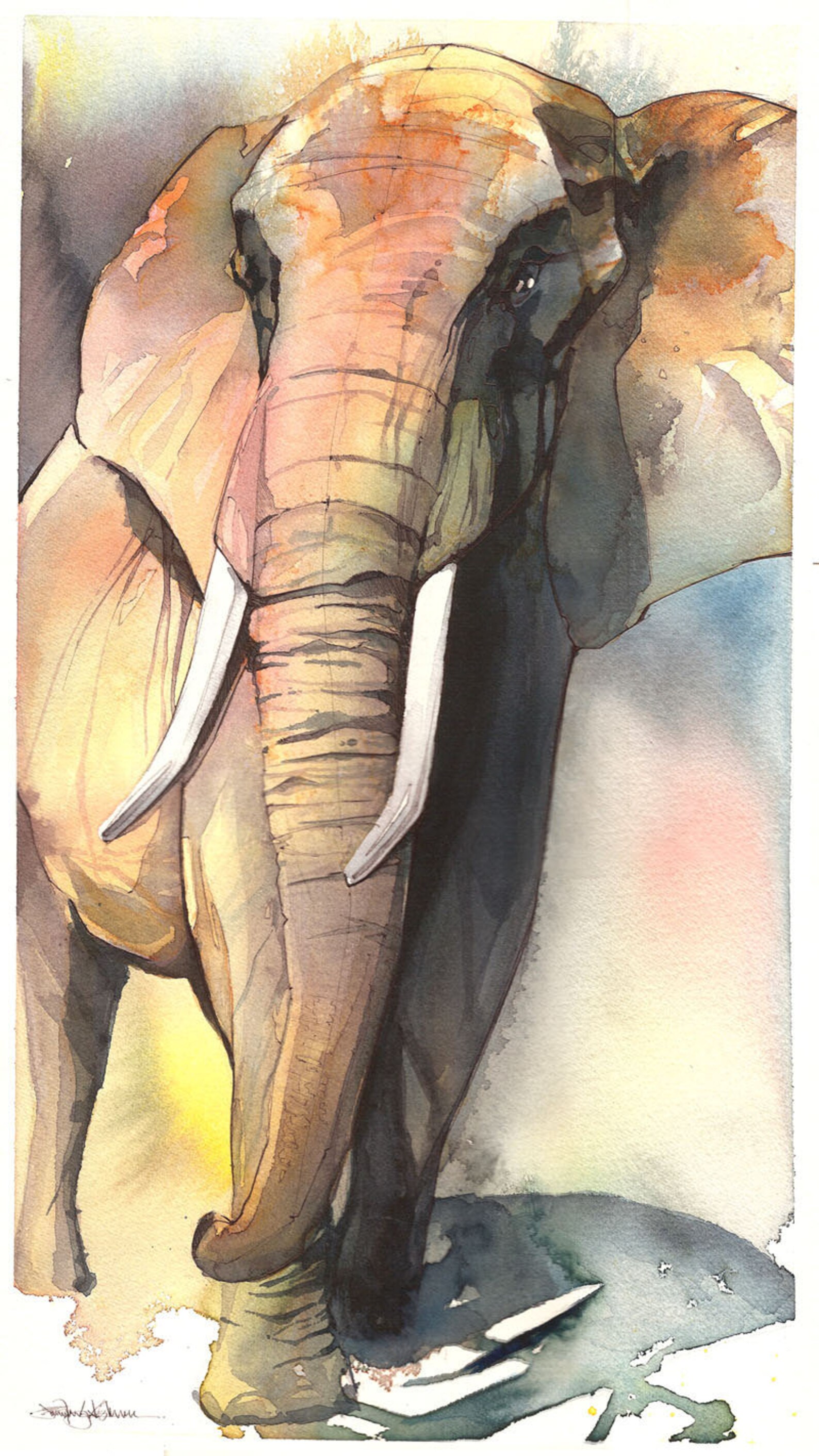Elephant - Small Print - Etsy