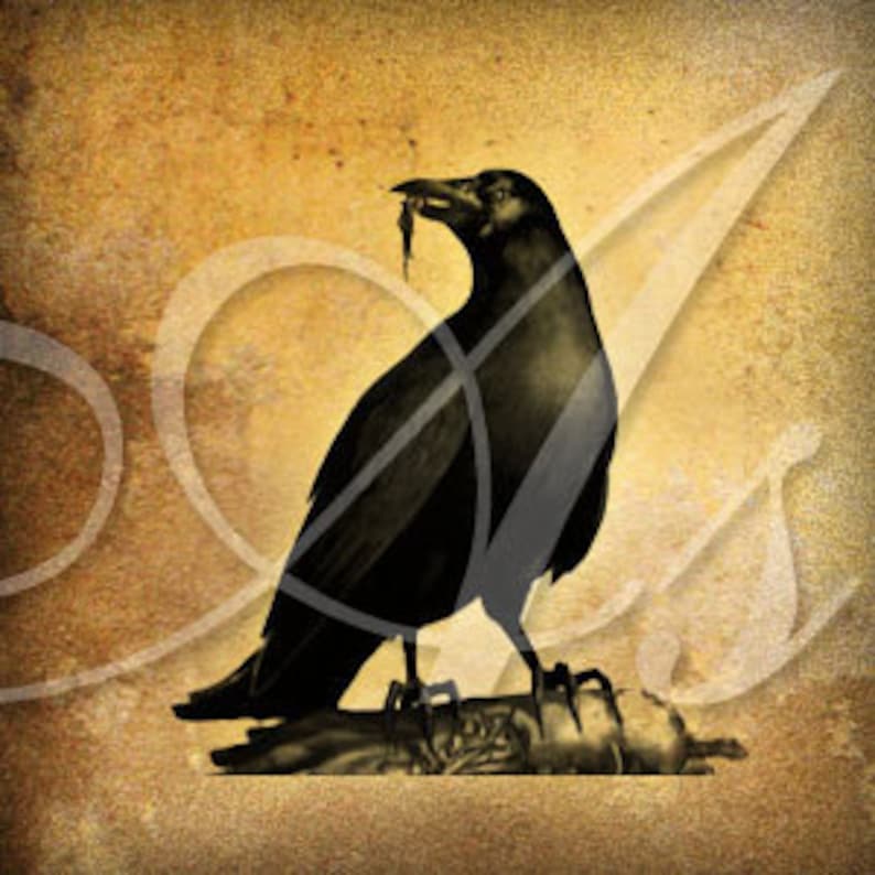 Crows & Ravens - 3 Sizes - Inchies, 7-8 Inch, AND Scrabble Tile Size ...