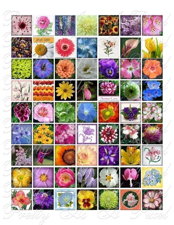 Flowers From Your Garden Digital Collage Sheet 3 Sizes - Etsy