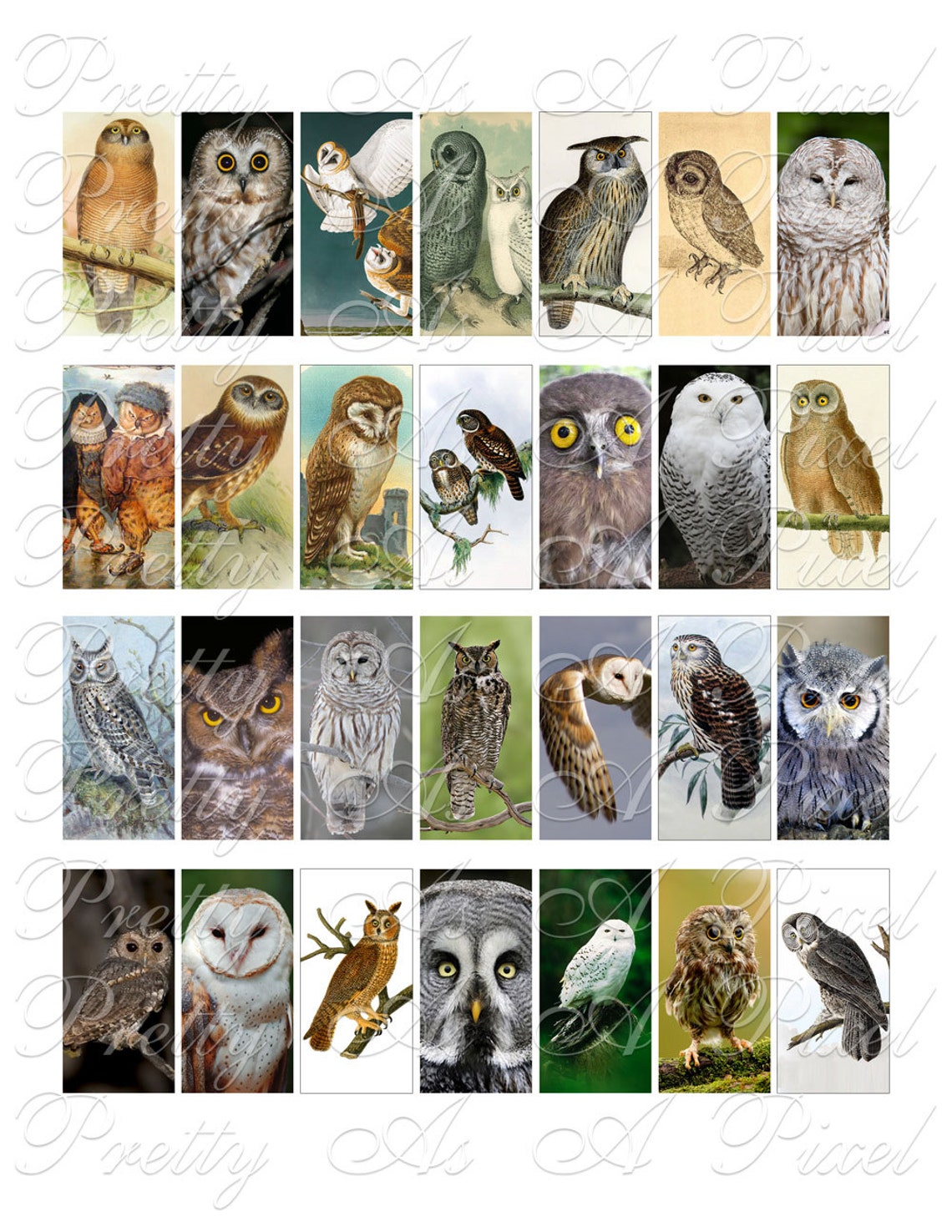 Owls Domino Size 1 X 2 Inch INSTANT DOWNLOAD Digital Collage Sheet - Etsy