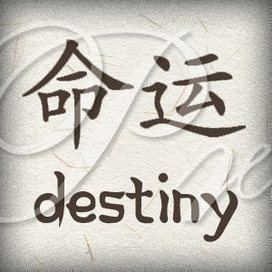The Name Destiny In Chinese