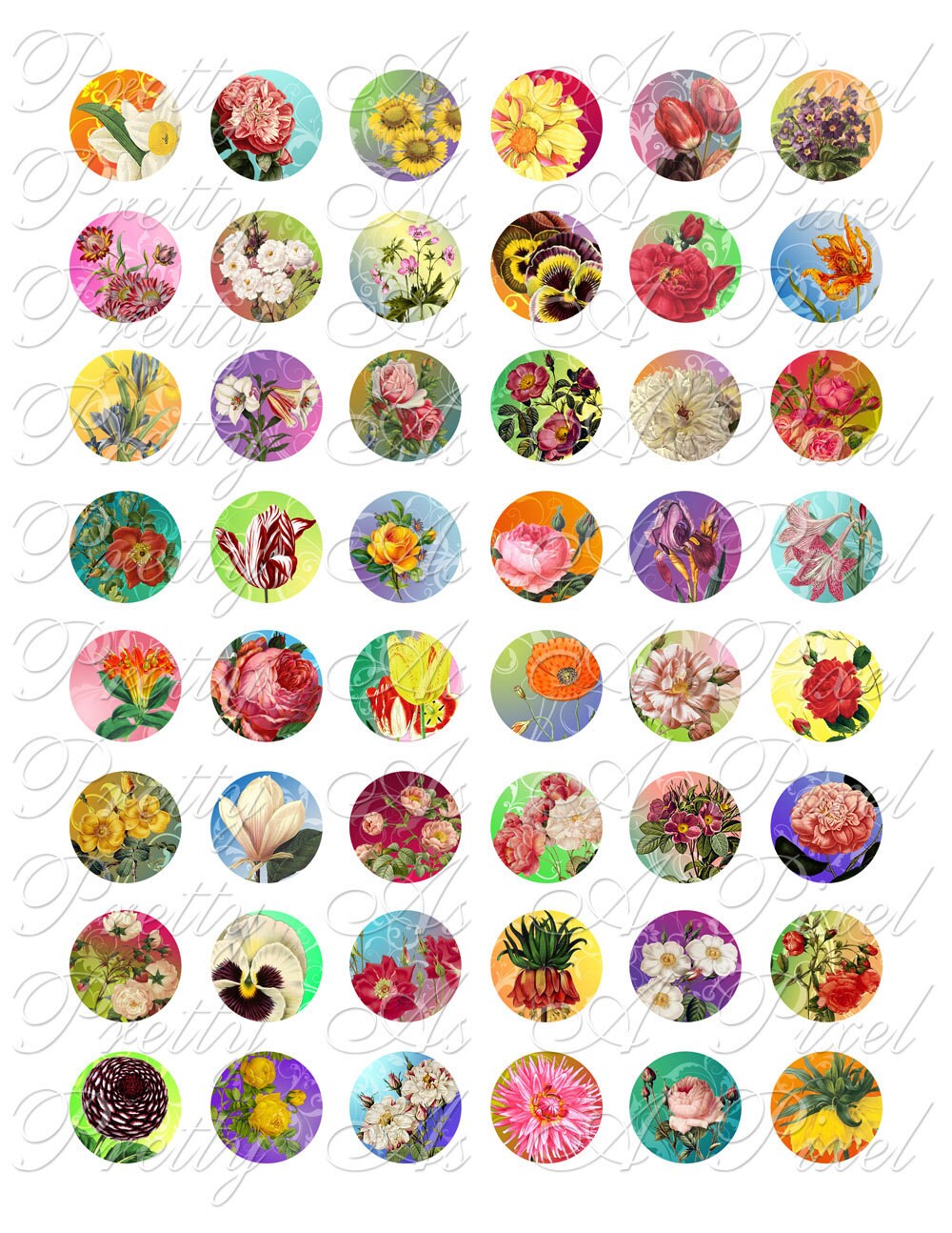 Bright & Colorful Vintage Flower Illustrations - One Inch Circles ...