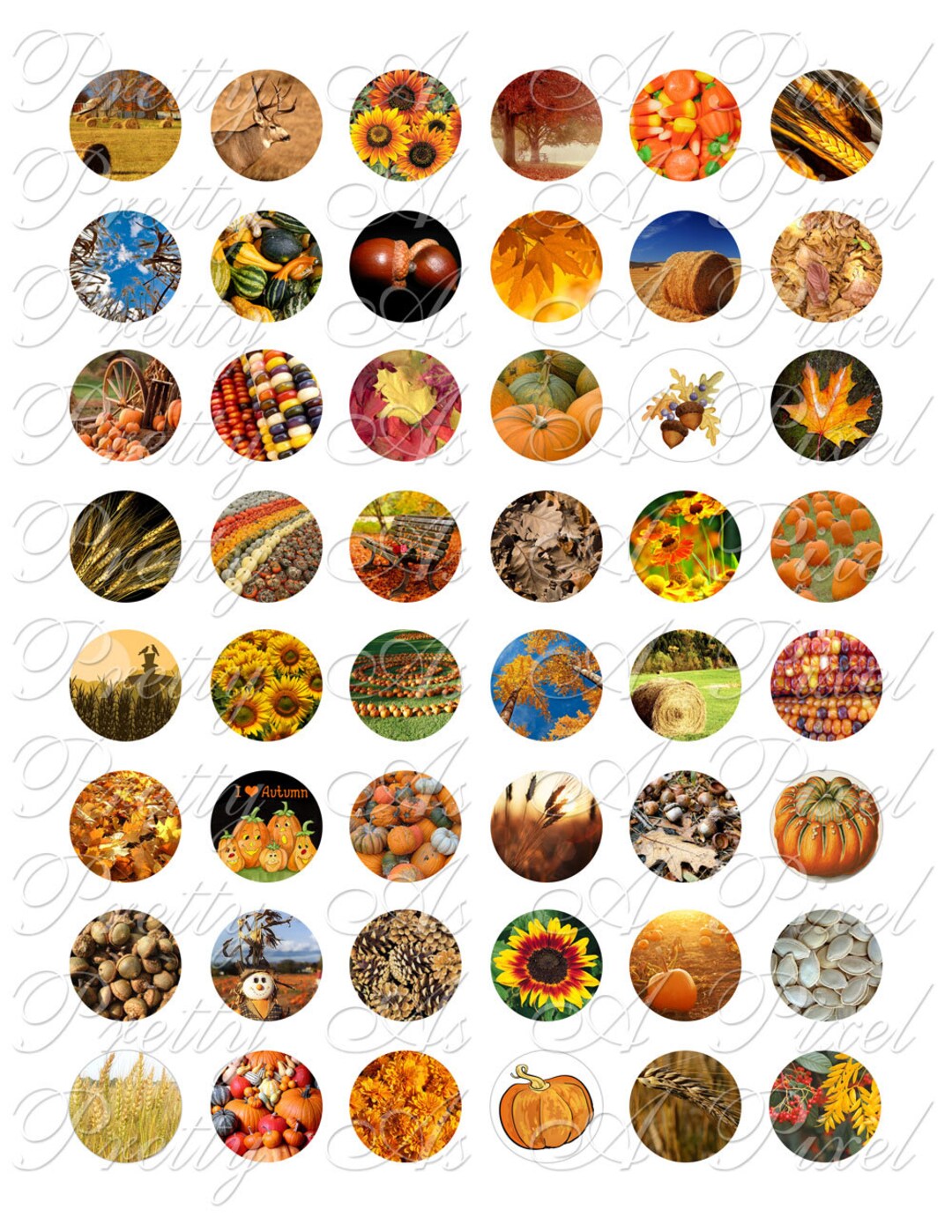 Autumn Harvest - One Inch Circles - INSTANT DOWNLOAD - Digital Collage ...