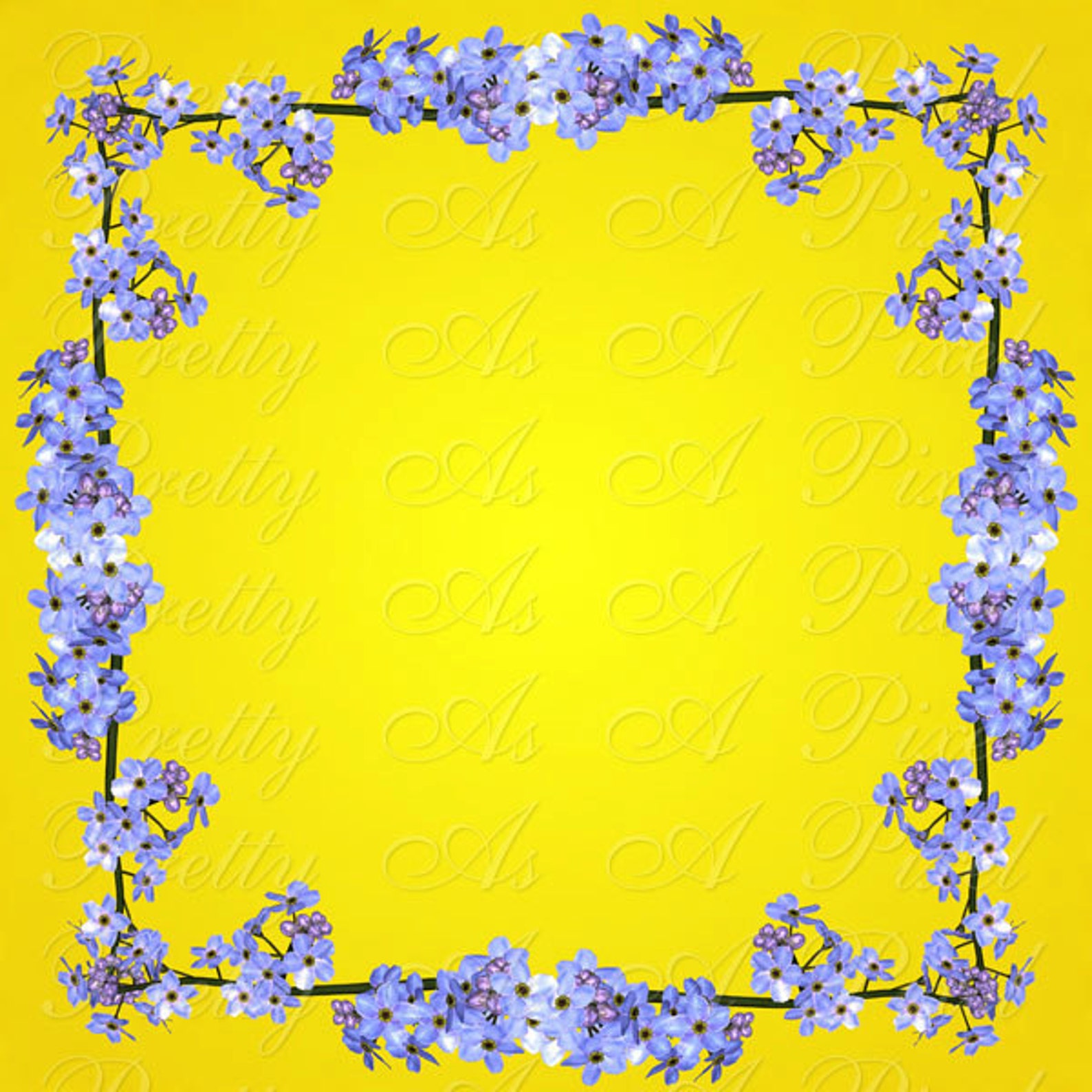 Forget-me-nots Digital Paper Pack INSTANT DOWNLOAD - Etsy