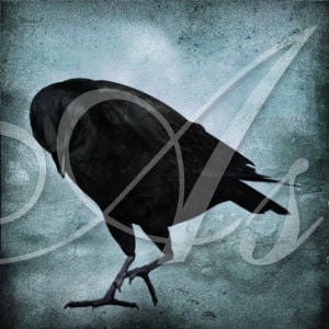 Crows & Ravens - 3 Sizes - Inchies, 7-8 Inch, AND Scrabble Tile Size ...